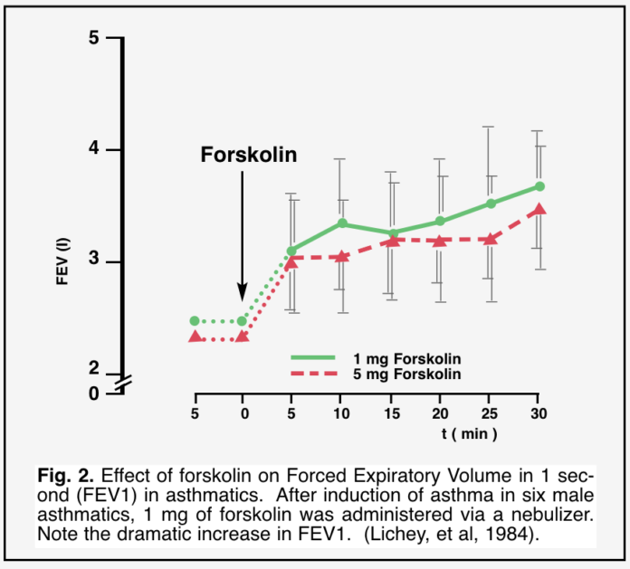 Forskolin and cAMP - Wide-Ranging Benefits From Ayurvedic Herb ...